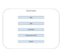 Long Term Development in Strength Training - Smith Performance Center